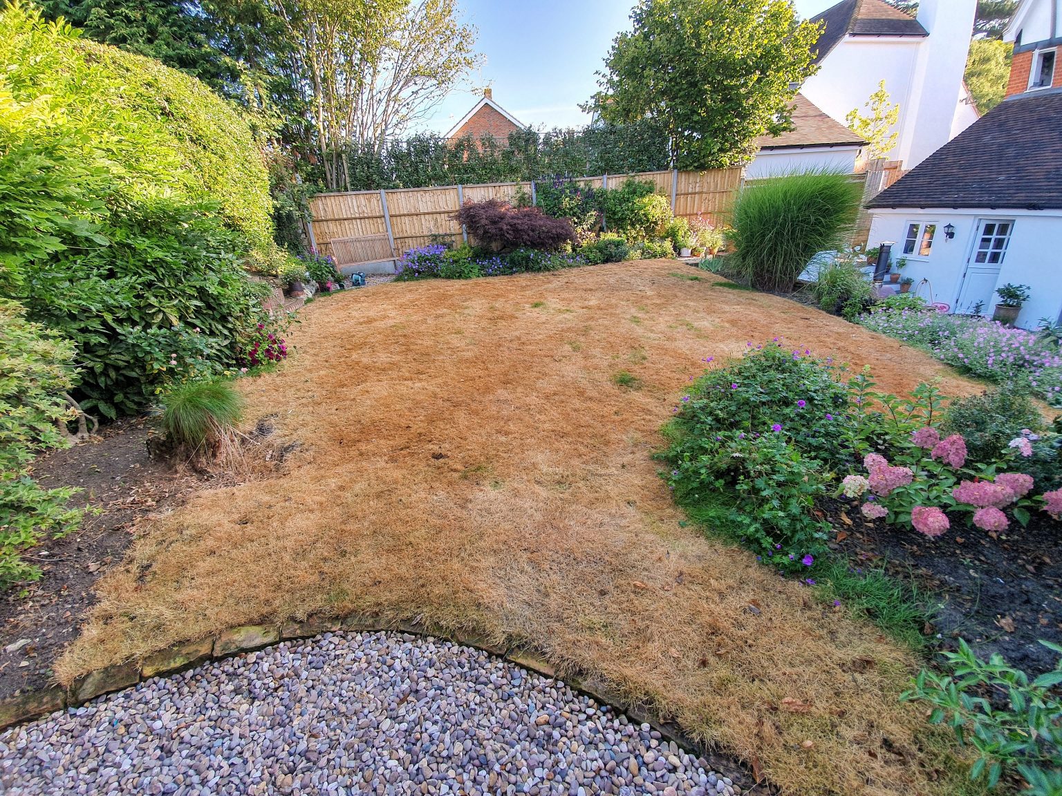 Lawn Renovations Maidstone, Kent - The Lawn Transformers